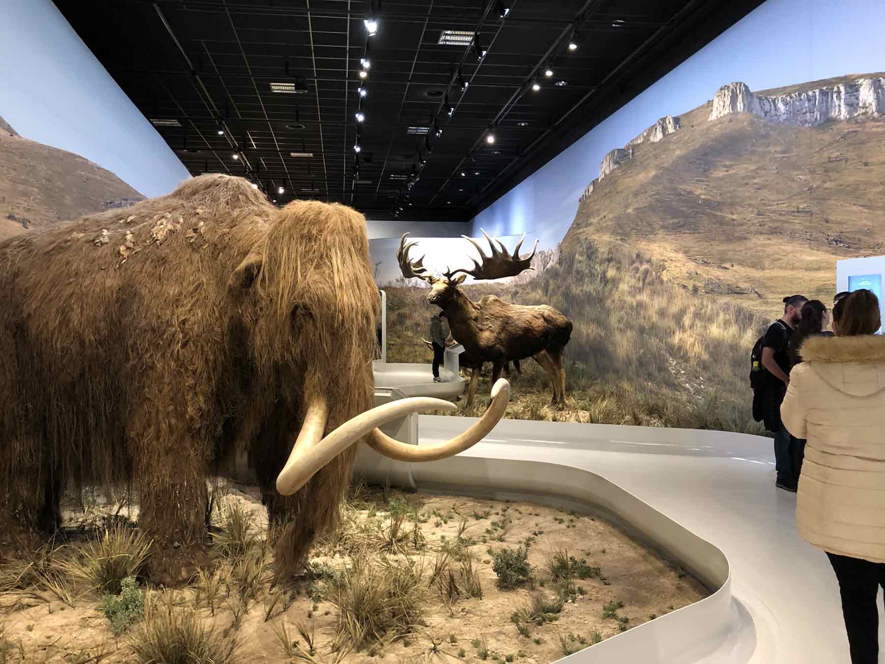 Welcome - open to interpretation