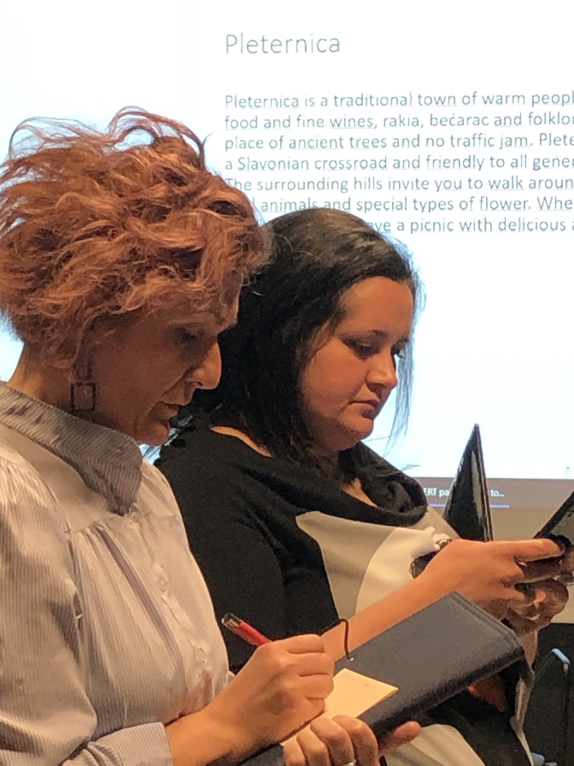 Sharing Slavonian heritage for tourism in Croatia - open to interpretation